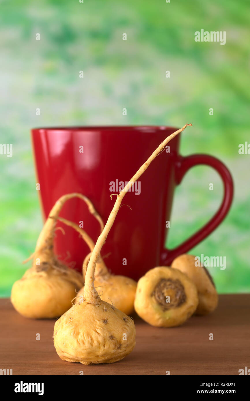 Maca plant hi-res stock photography and images - Alamy