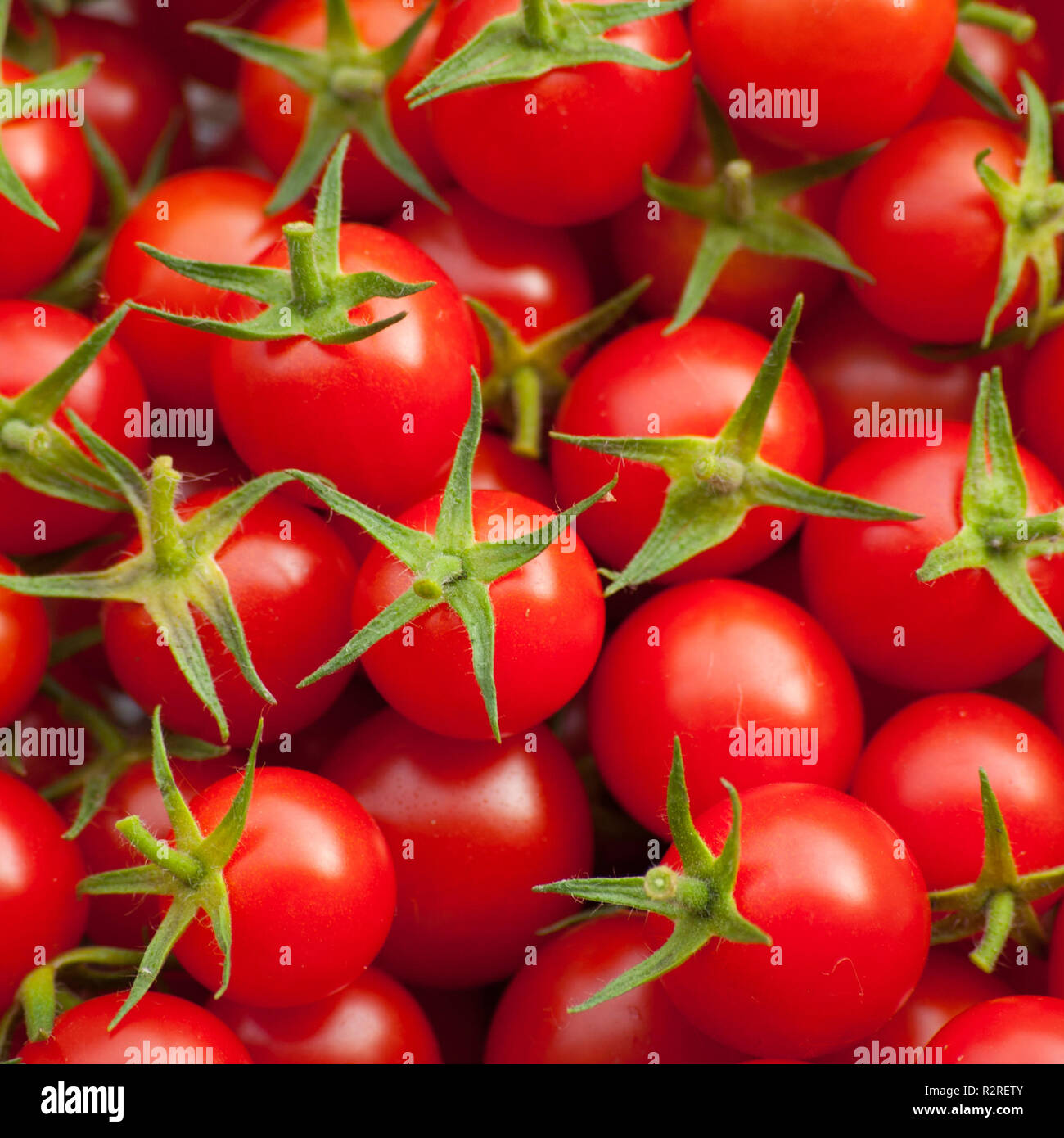 Riped Tomato High Resolution Stock Photography and Images - Alamy
