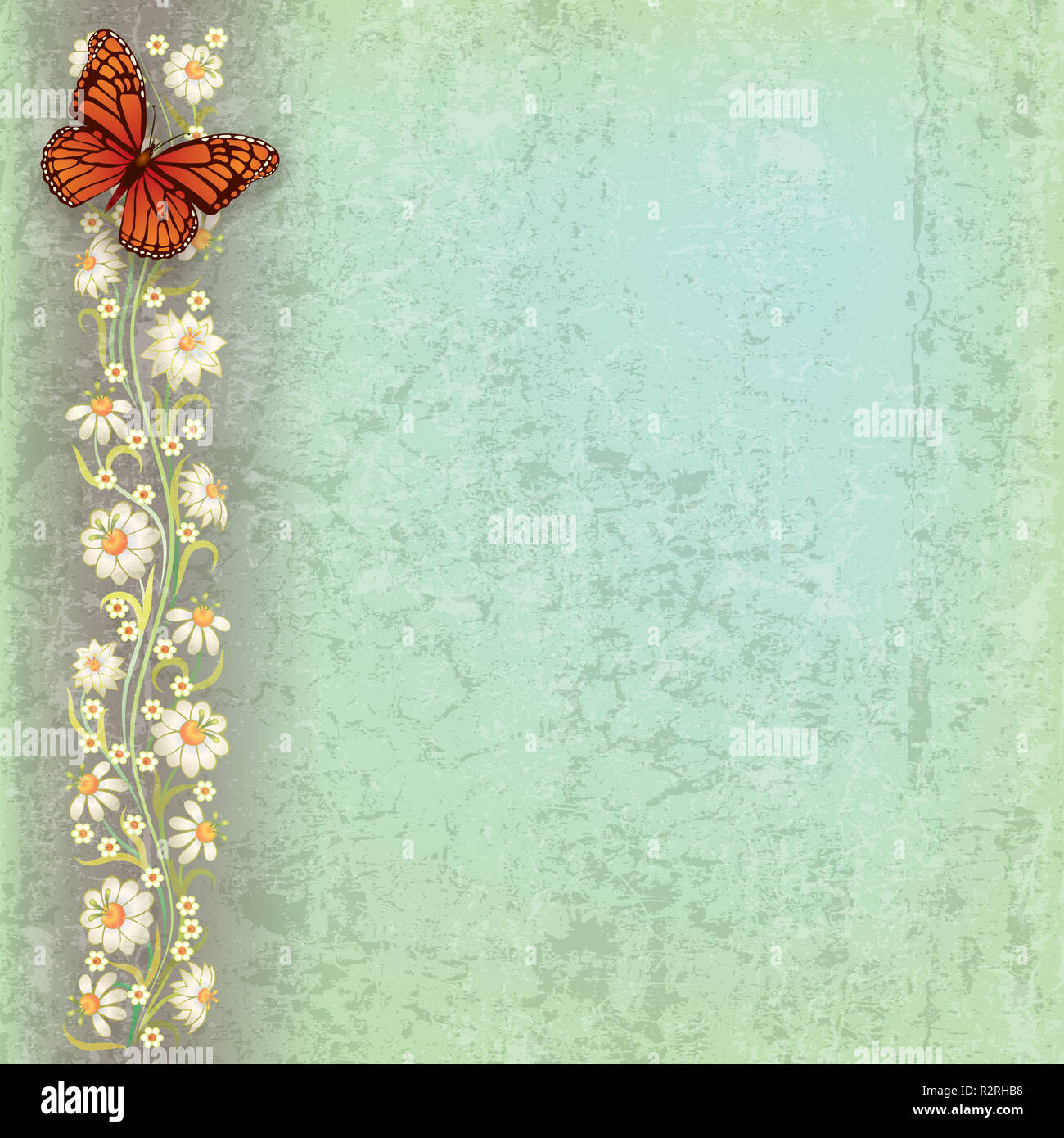 Insect Body Plan High Resolution Stock Photography and Images - Alamy