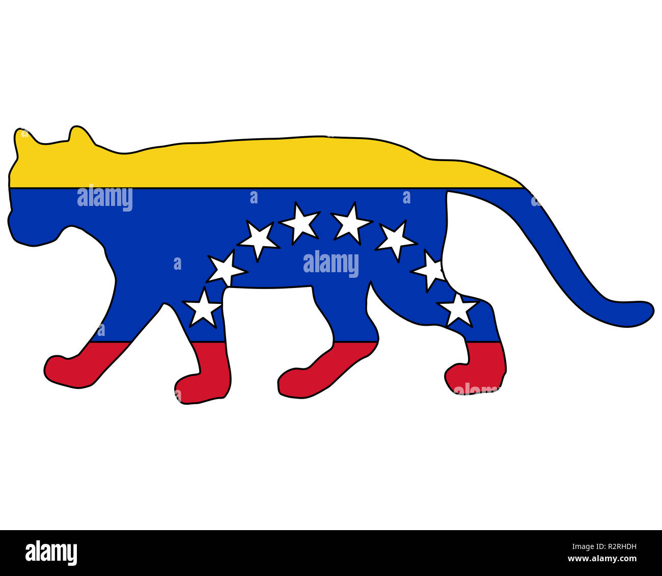 Puma concolor illustration Cut Out Stock Images & Pictures - Alamy