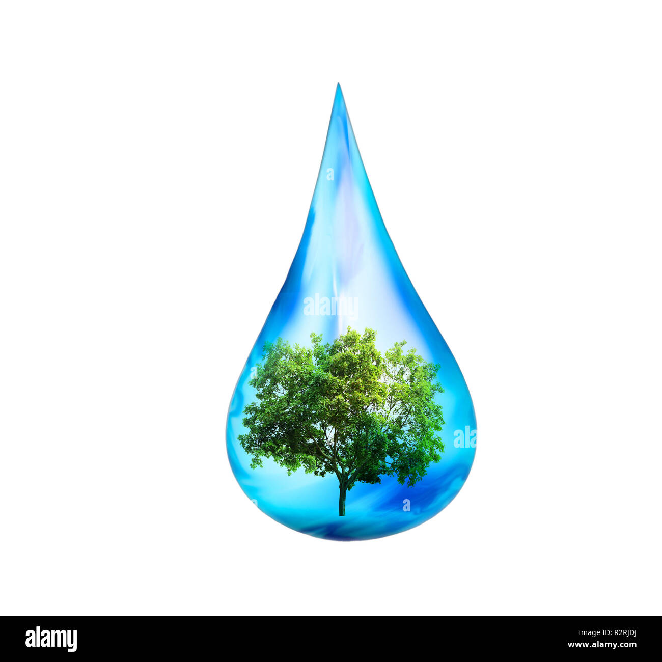 Water source life Cut Out Stock Images & Pictures - Alamy