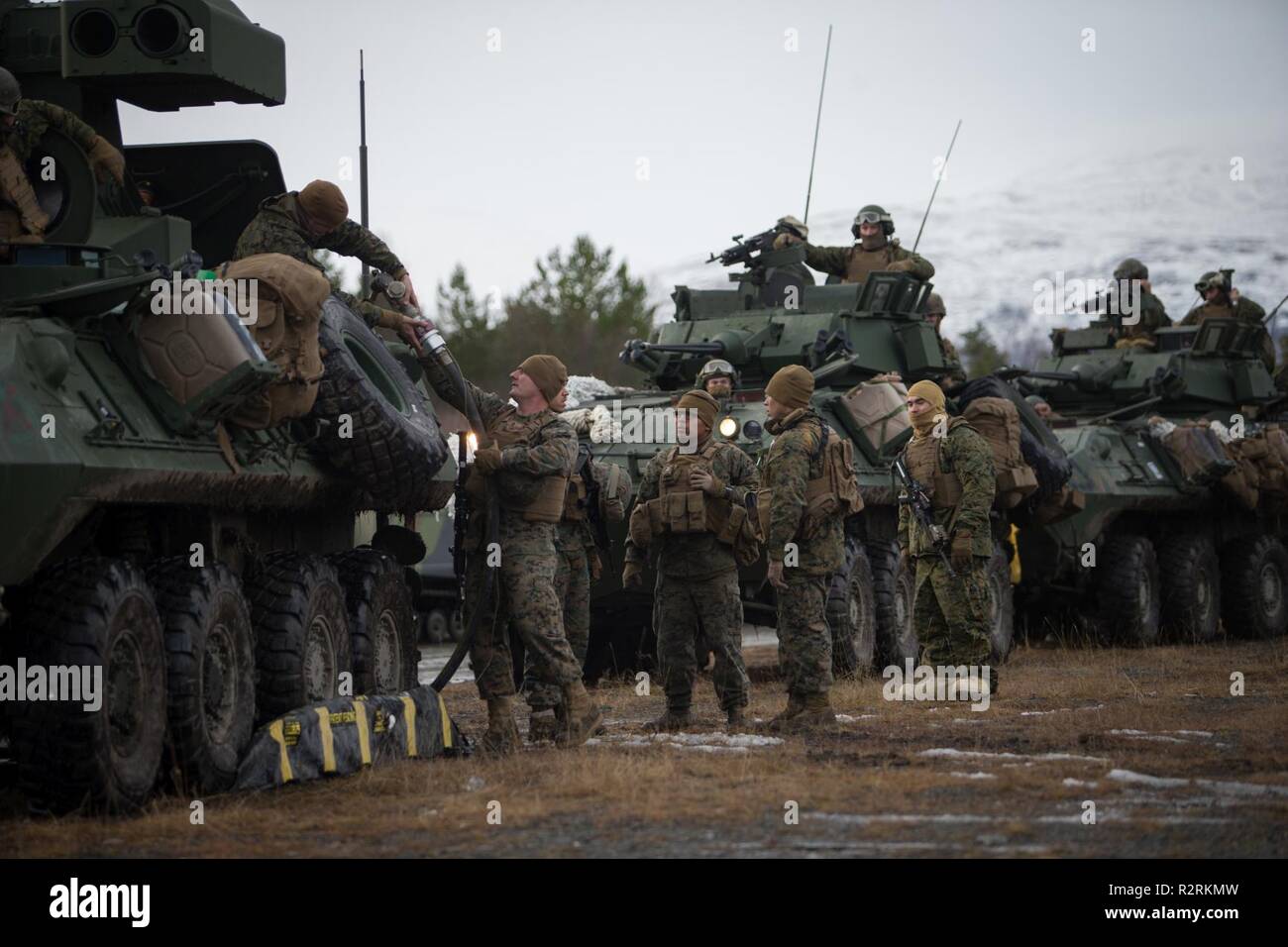 U.S. Marines with Transportation Services Company, Combat Logistics ...