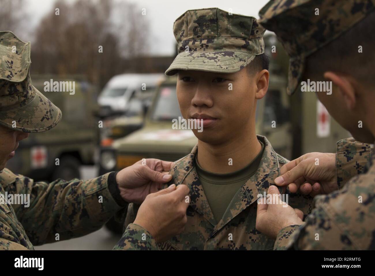 U.S. Marine Corps Master Sgt. Thanh Nguyen with 2nd Marine Logistics ...