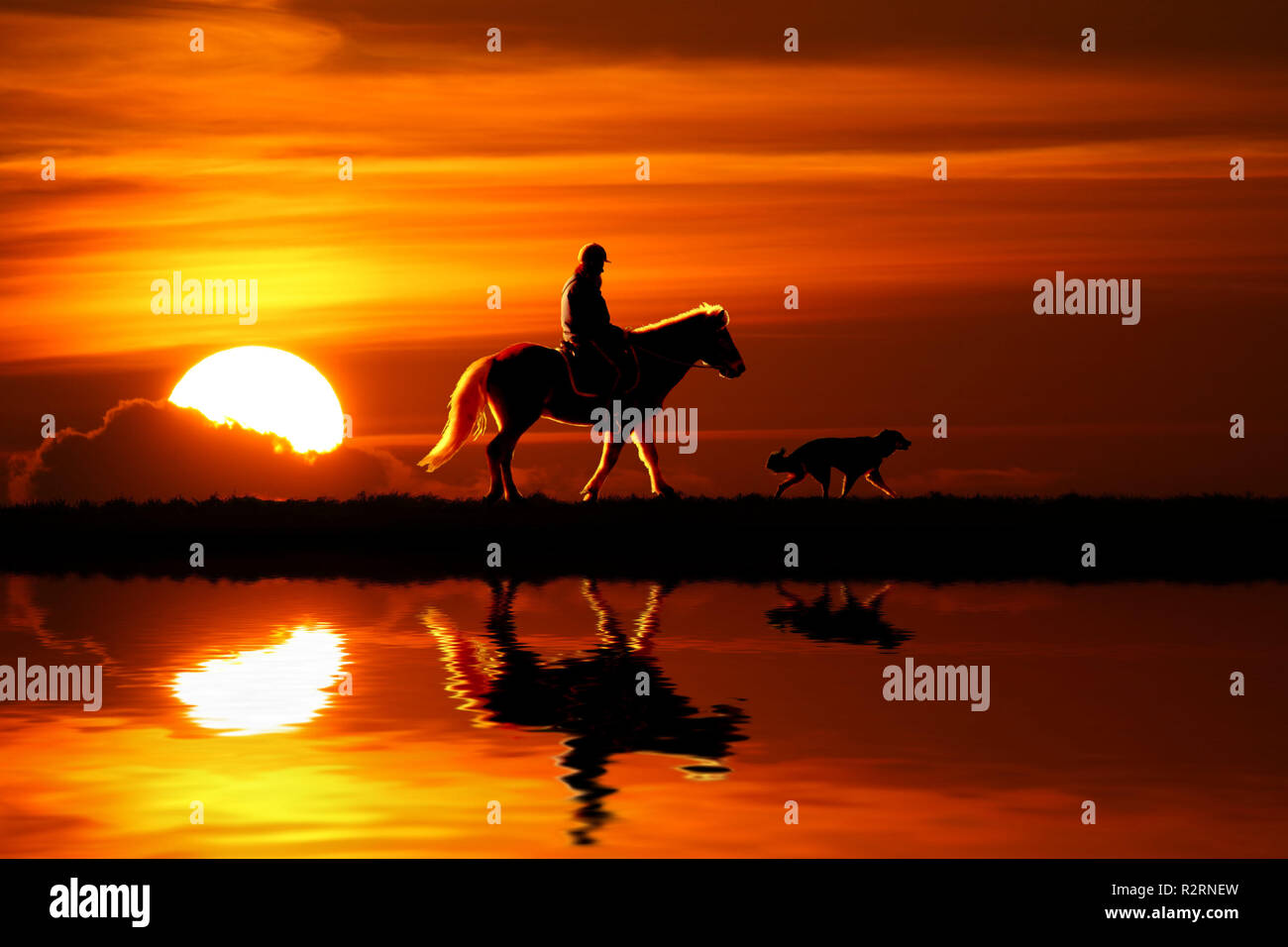 riders with dog Stock Photo - Alamy