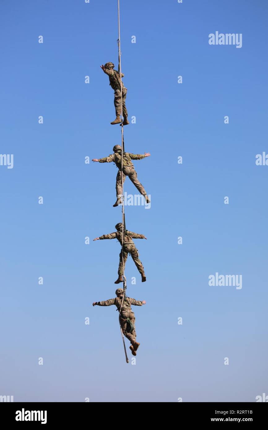 Spies and fries hi-res stock photography and images - Alamy