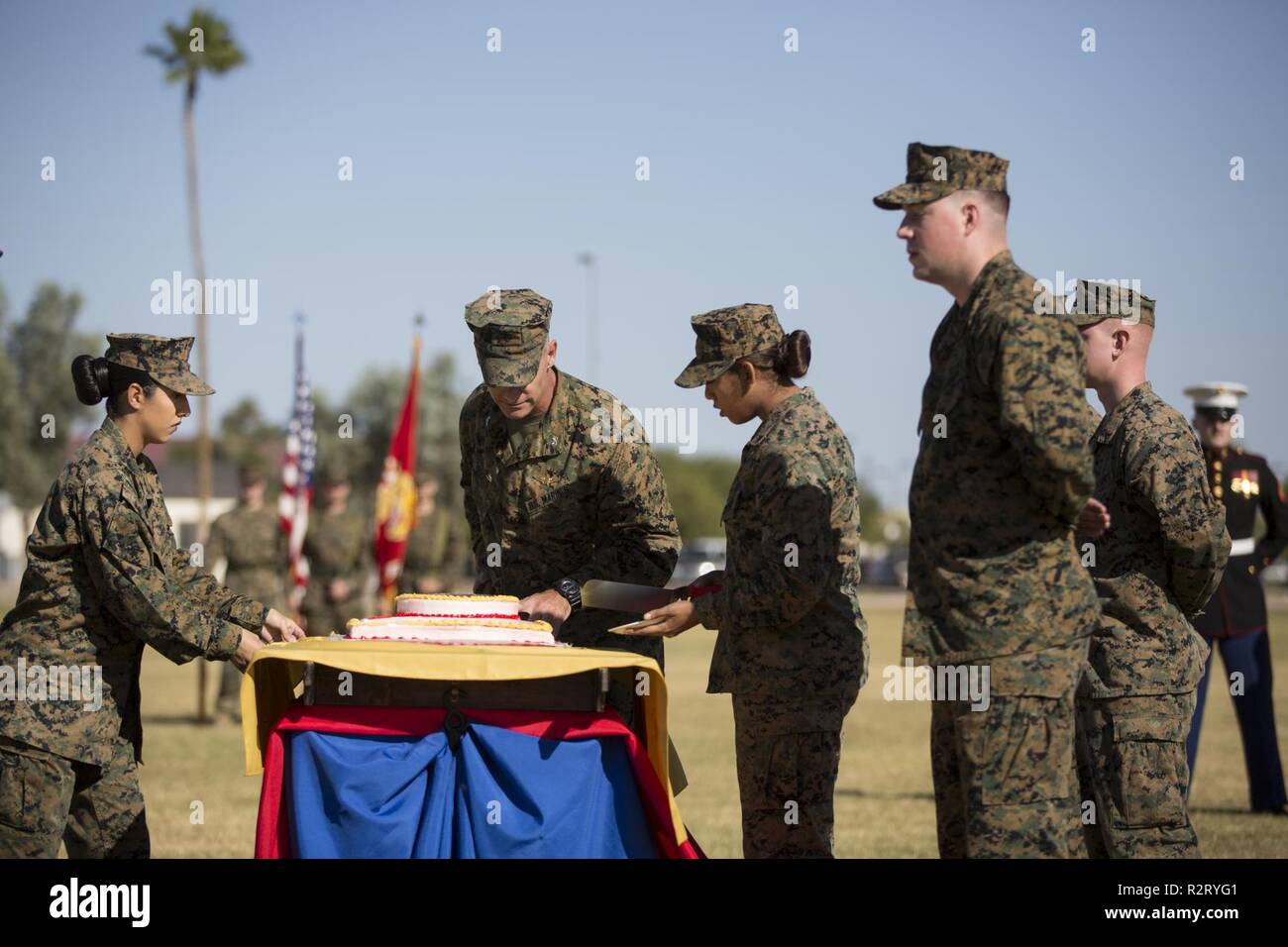 U.S. Marine Corps Col. David A. Suggs, commanding officer, Marine Corps ...