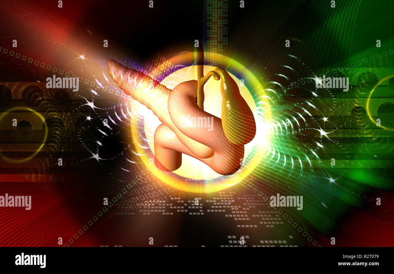 Pancreatic juice hi-res stock photography and images - Alamy