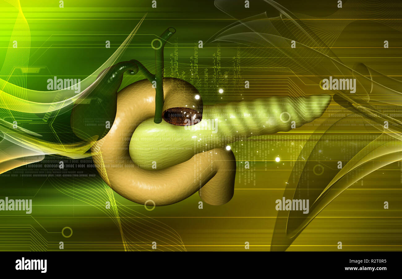 Pancreatic juice hi-res stock photography and images - Alamy