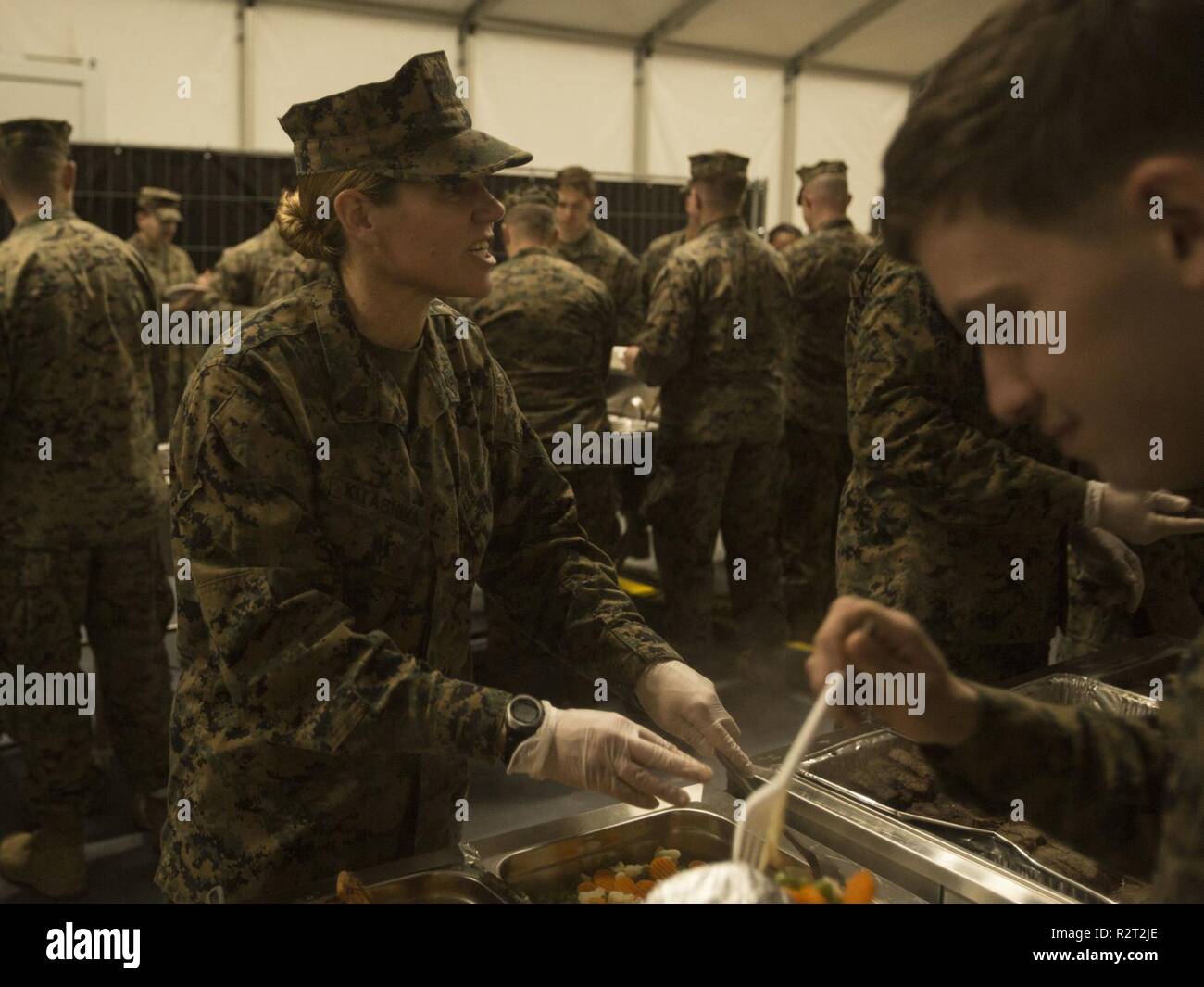 U.S. Marines with II Marine Expeditionary Force celebrate the United ...