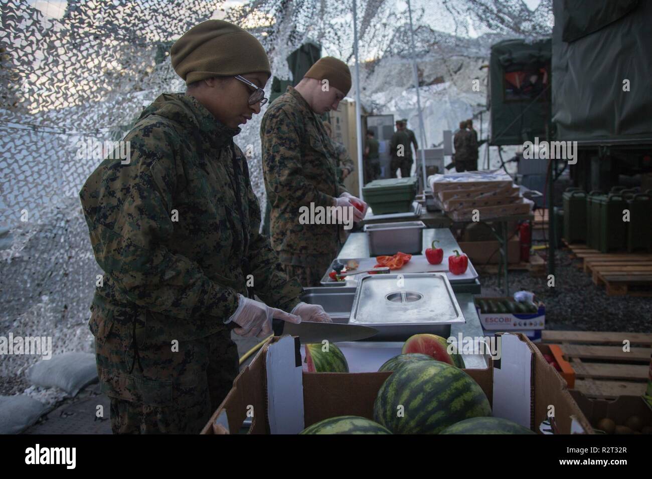 U.S. Marine Corps Lance Cpl. Lauryn Fleming with 2nd Marine Logistics ...