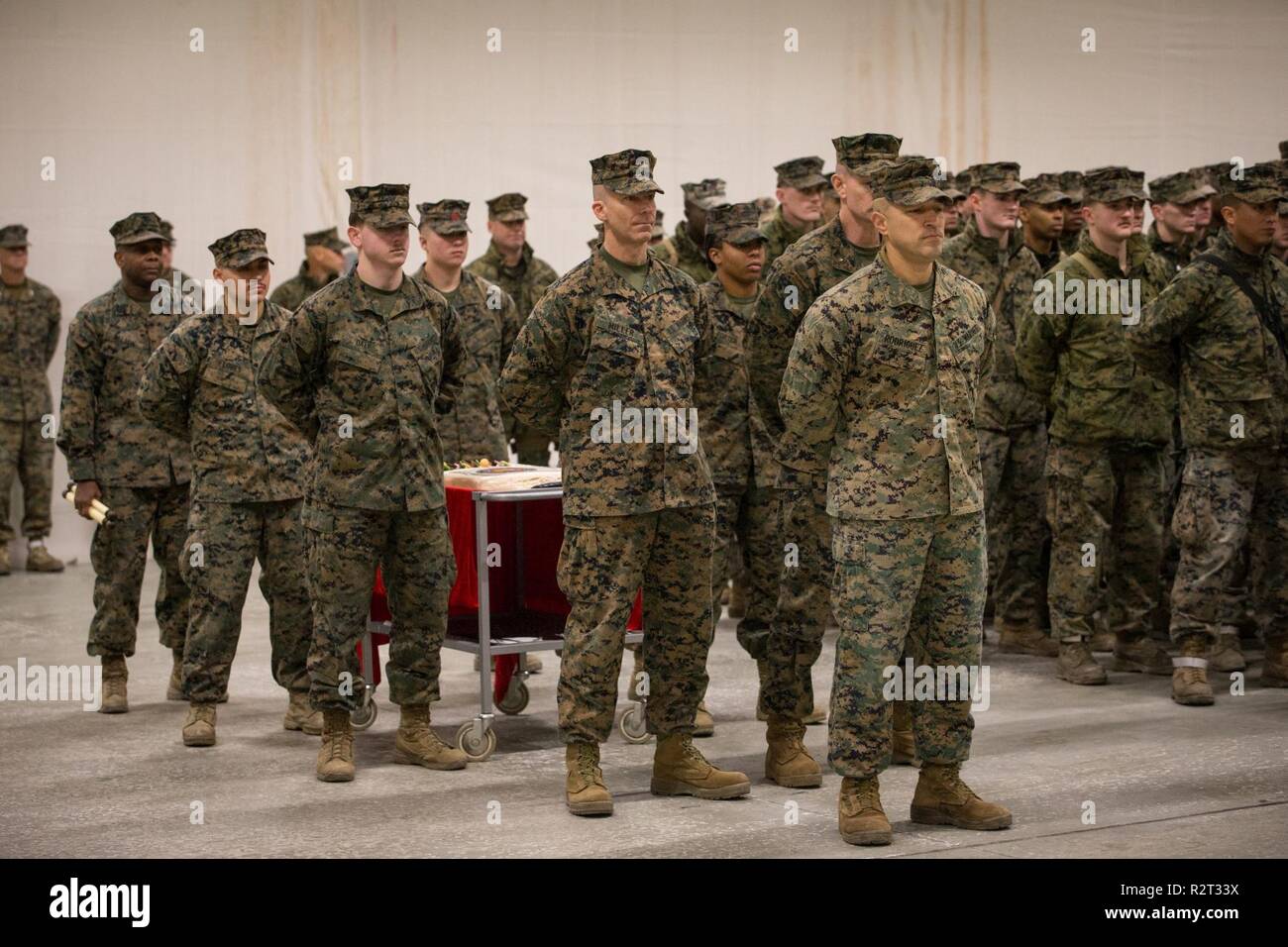 U.S. Marines with 2nd Marine Logistics Group-Forward stand at parade ...