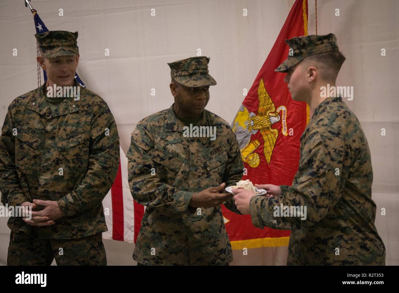 U.S. Marine Corps Master Sgt. Richard Nelson, center, with 2nd Marine ...
