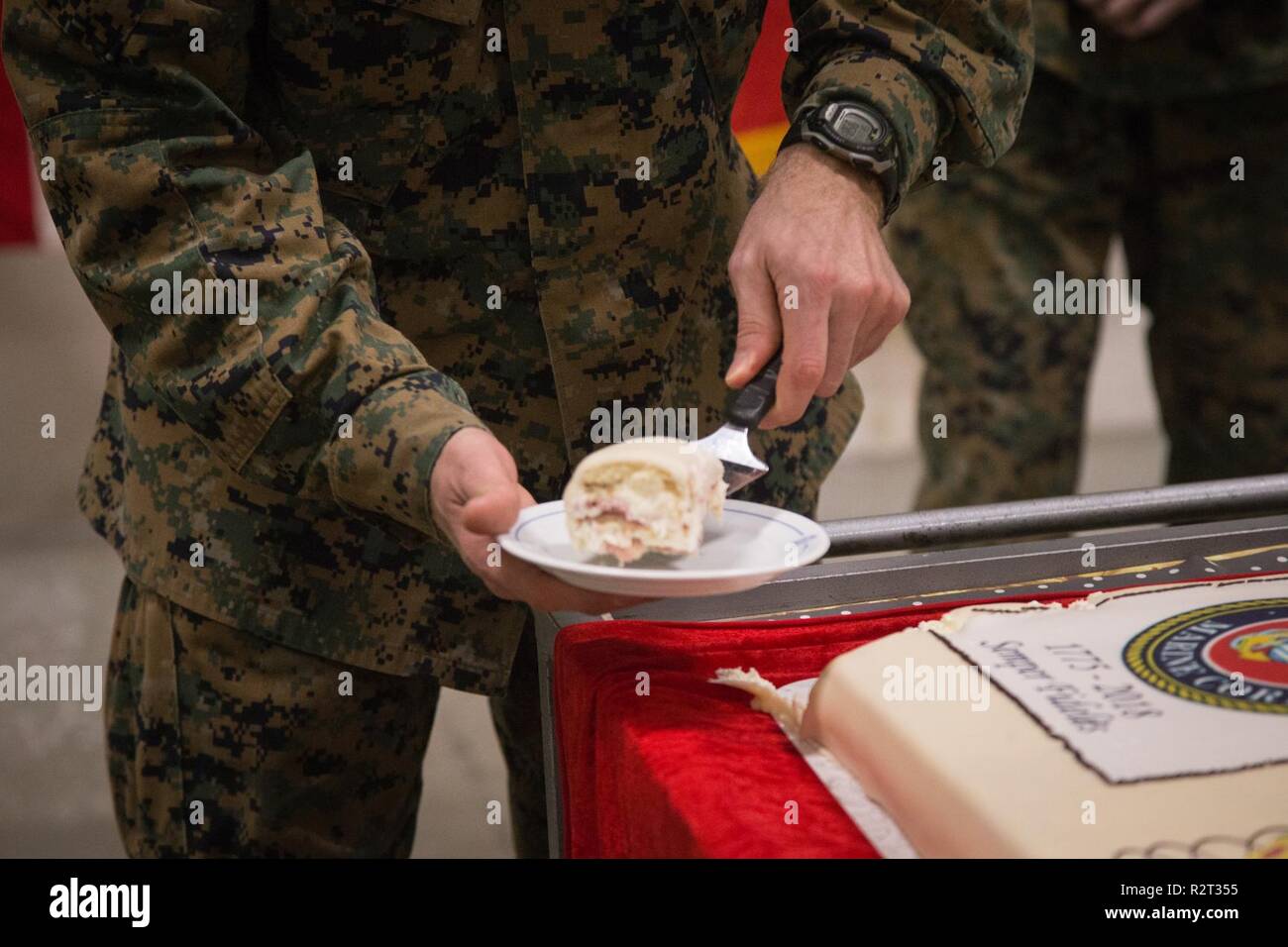 U.S. Marine Corps Col. Boyd A. Miller, the commanding officer of 2nd ...