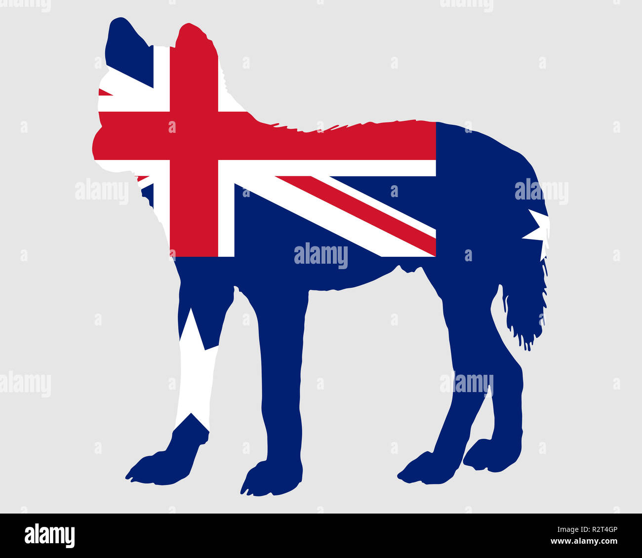 Dingo sign hi-res stock photography and images - Alamy