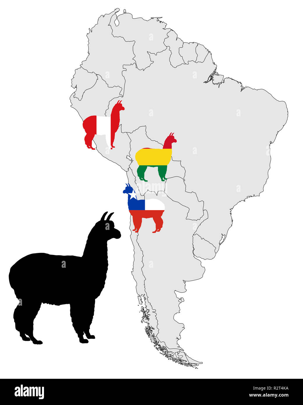 Black alpaca Cut Out Stock Images & Pictures - Alamy