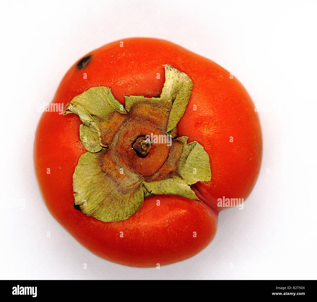 Persimmon fruit depicted close-up, isolated on white background Stock ...