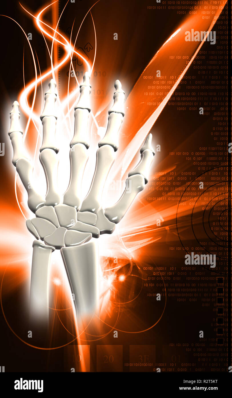 Computer graphics bone hi-res stock photography and images - Alamy