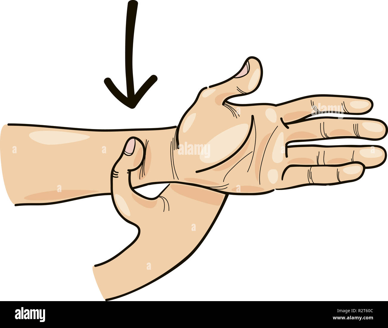 Body meridians diagram hi-res stock photography and images - Alamy