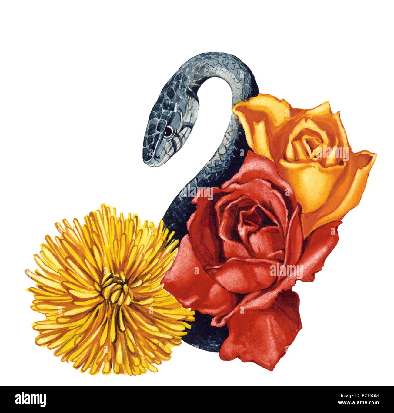 Venom plant Cut Out Stock Images & Pictures - Alamy