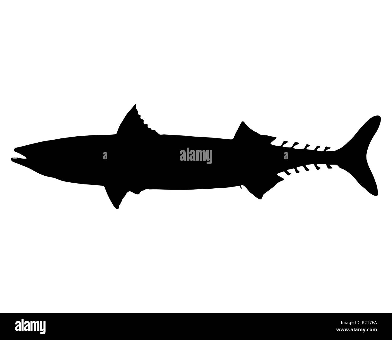 Mackerel fish silhouette hi-res stock photography and images - Alamy