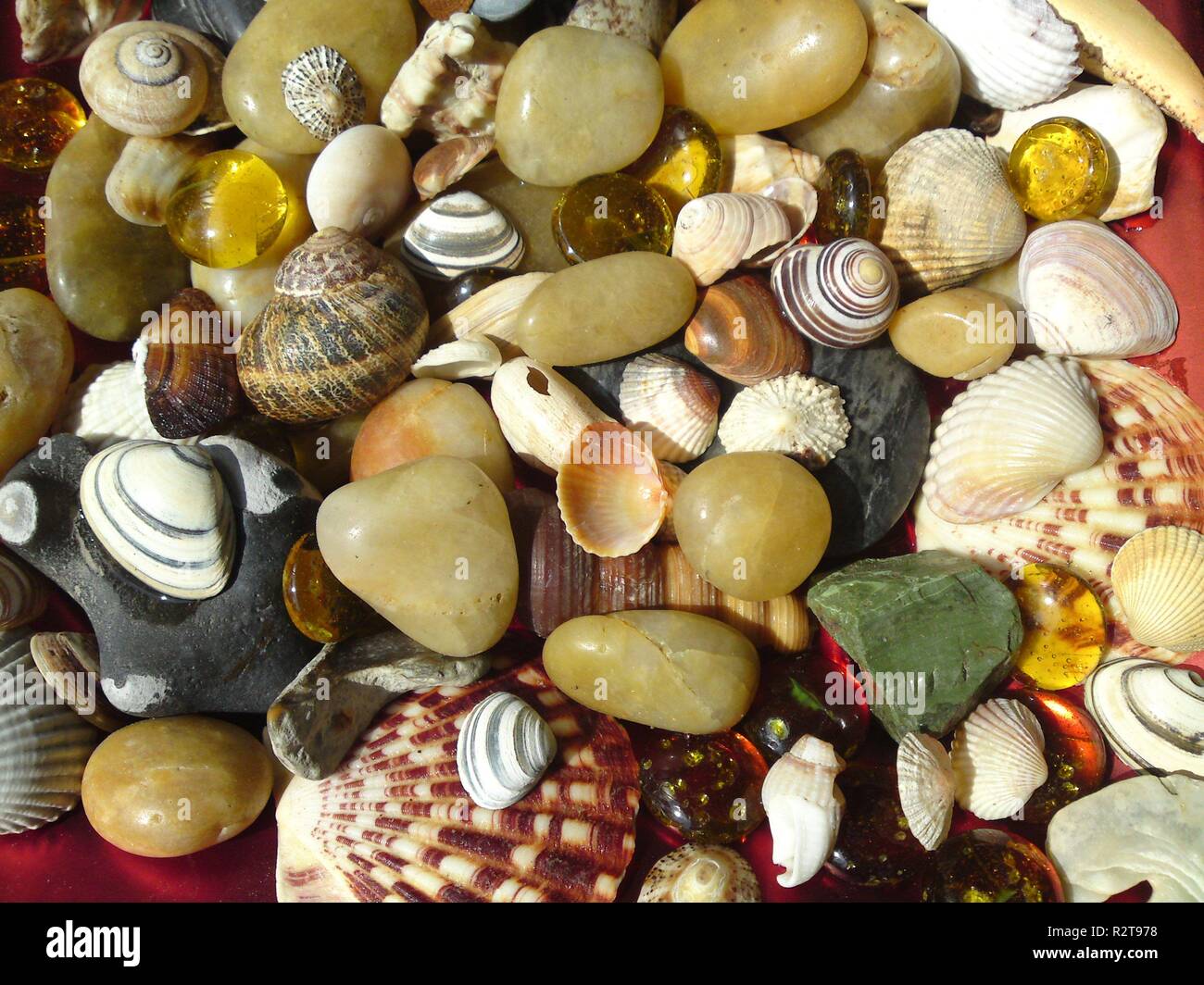 gathering of shells and stones Stock Photo - Alamy