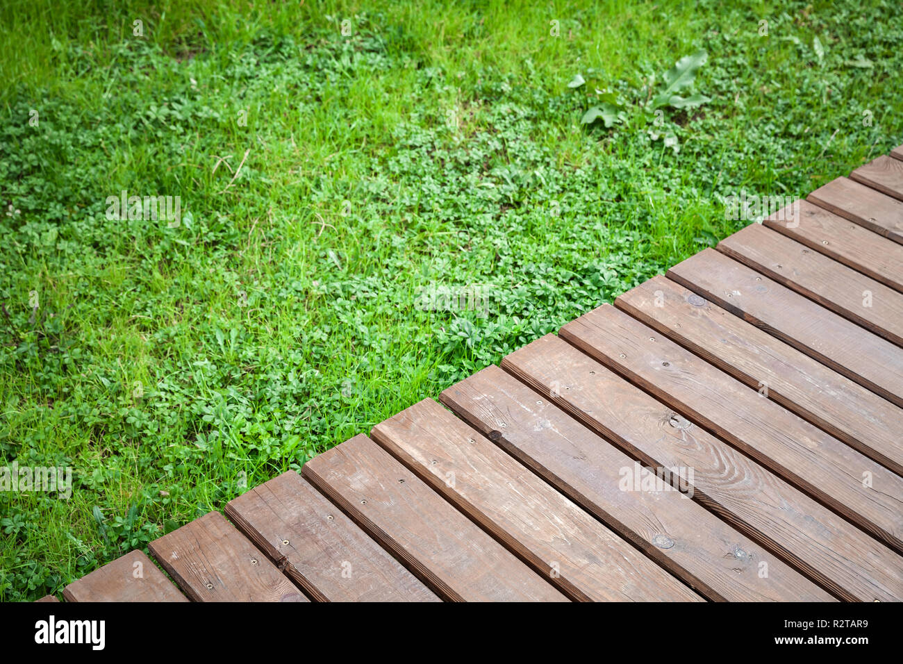 New wooden boardwalk over lawn with green grass, modern park background ...