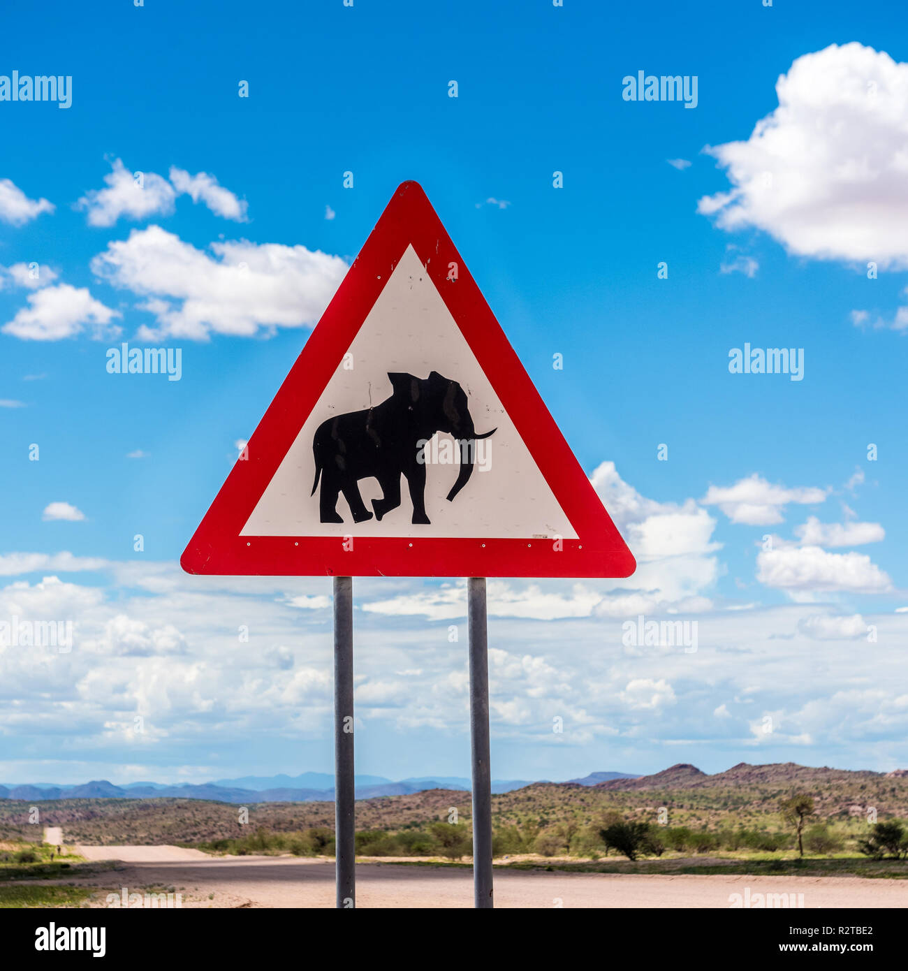 Elephants crossing road warning sign, Damaraland, Namibia Stock Photo ...
