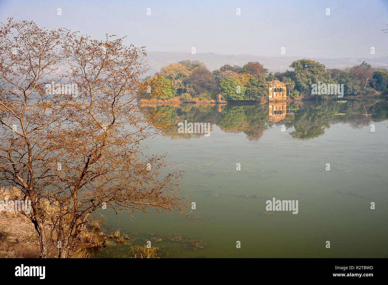 Rajbagh talao lake hi-res stock photography and images - Alamy
