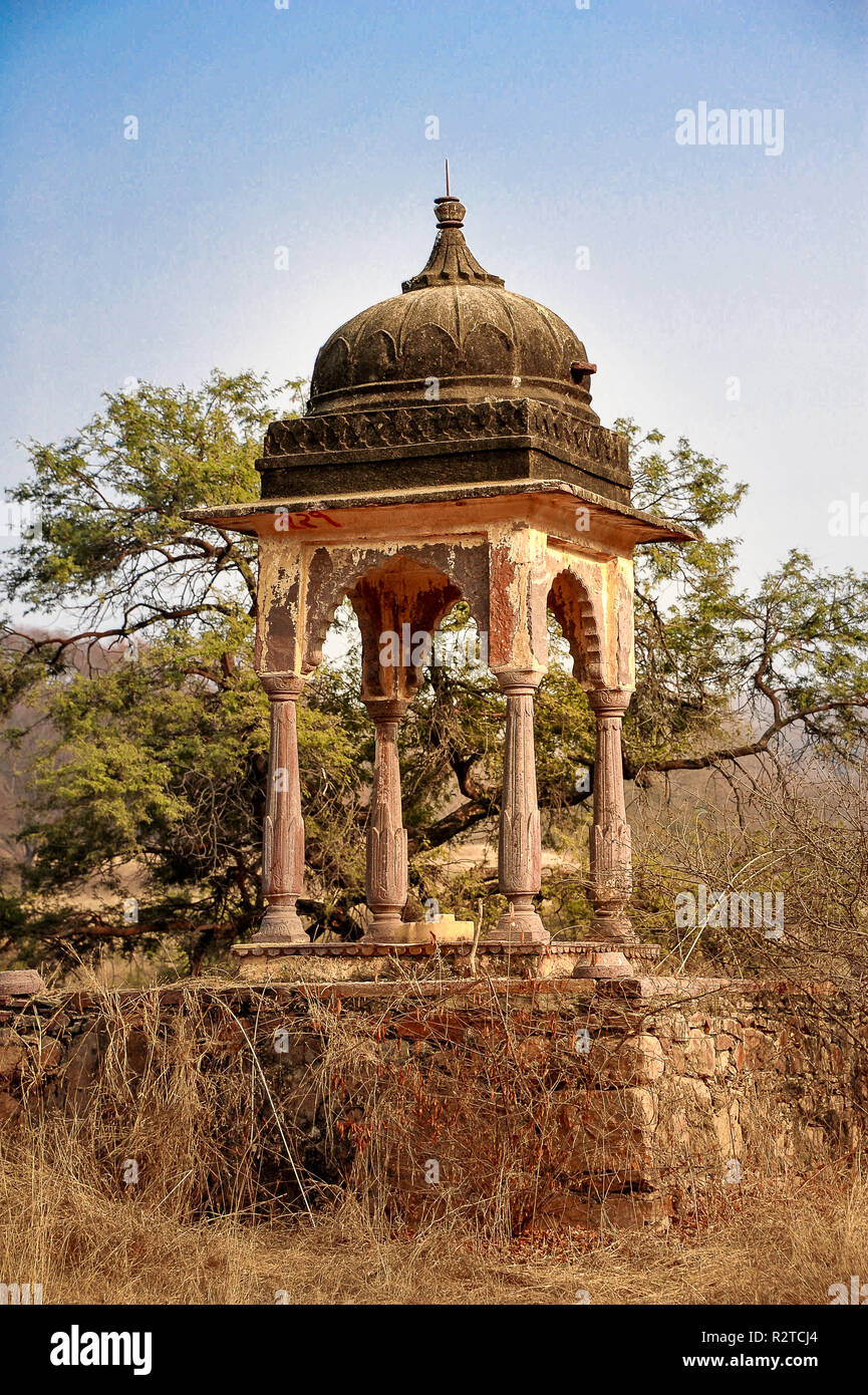 Ranthambore tiger temple hi-res stock photography and images - Alamy