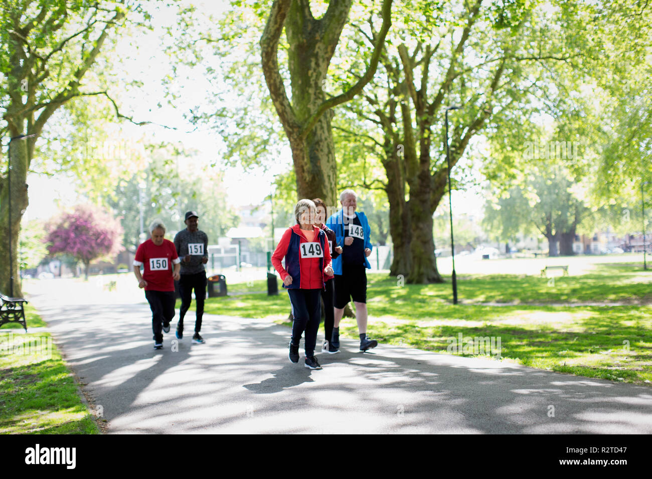 Active seniors running sports race in park Stock Photo - Alamy