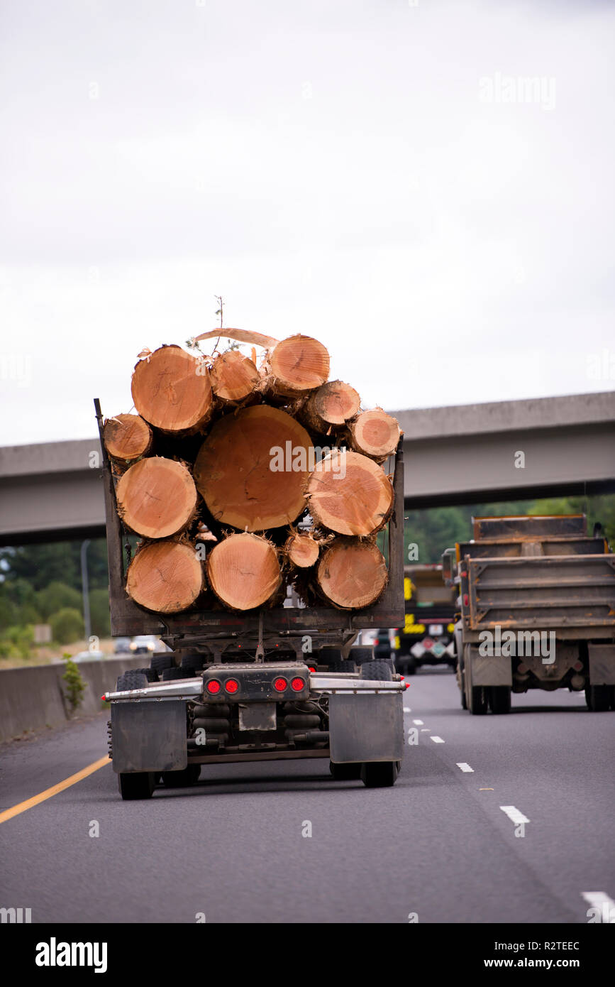 Big rig day cab American powerful semi truck with protective shield ...