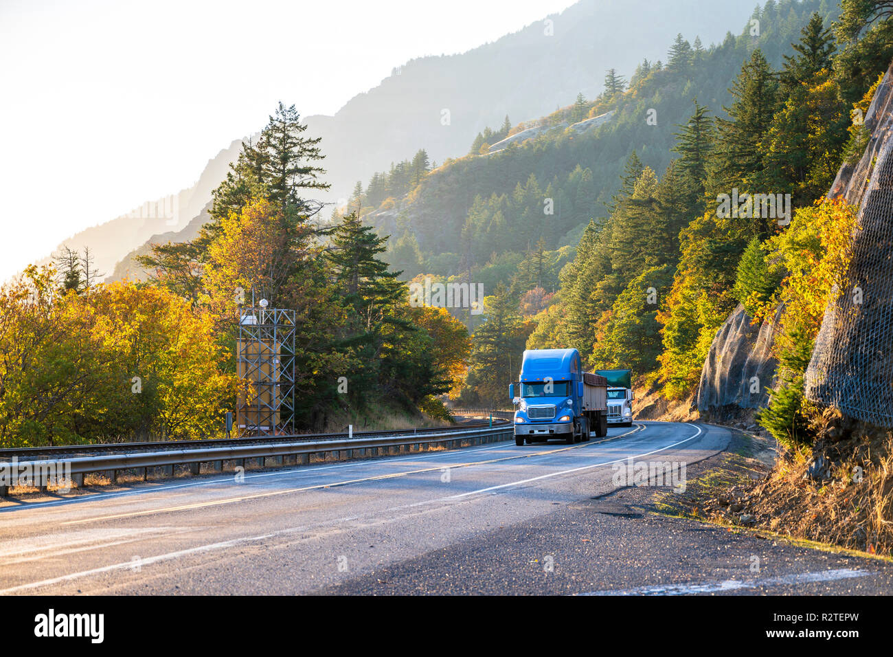 Big rigs American bonnet classic semi trucks convoy with bulk semi ...