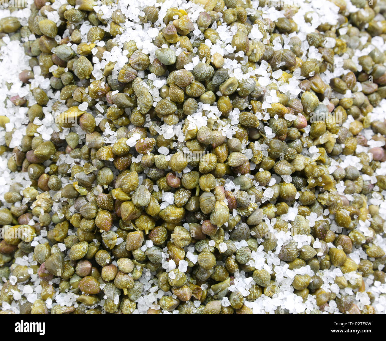 capers under salt typical food of Southern Italy Stock Photo - Alamy