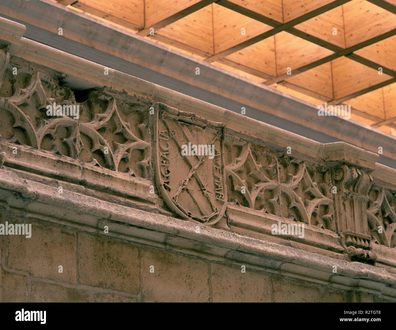 Planta de escudo hi-res stock photography and images - Alamy