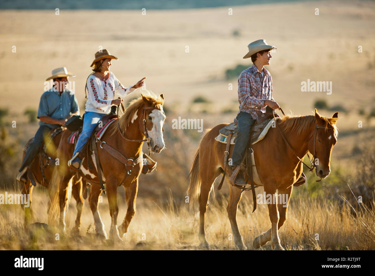 Horse riding for males females and children hi-res stock photography ...