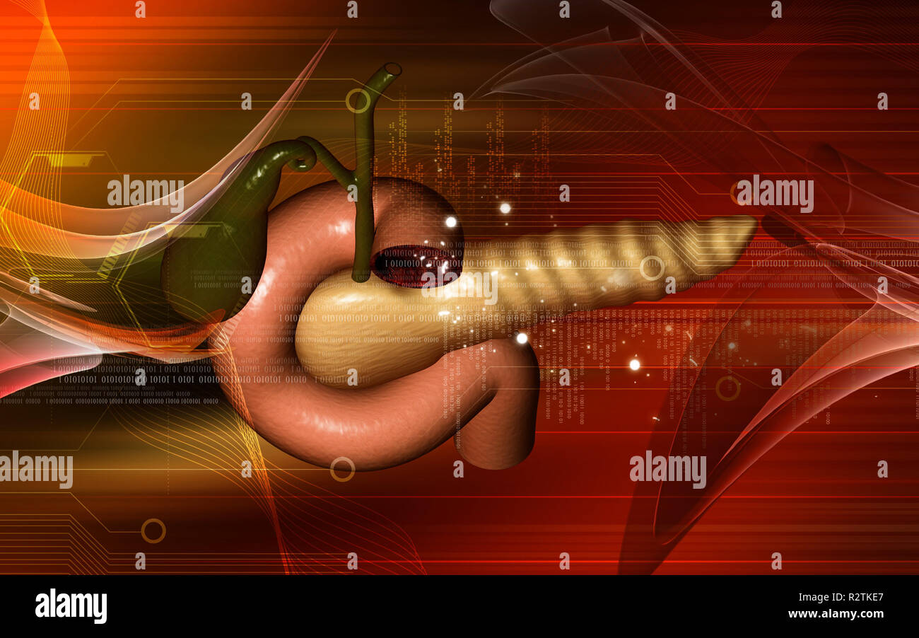 Pancreatic juice hi-res stock photography and images - Alamy