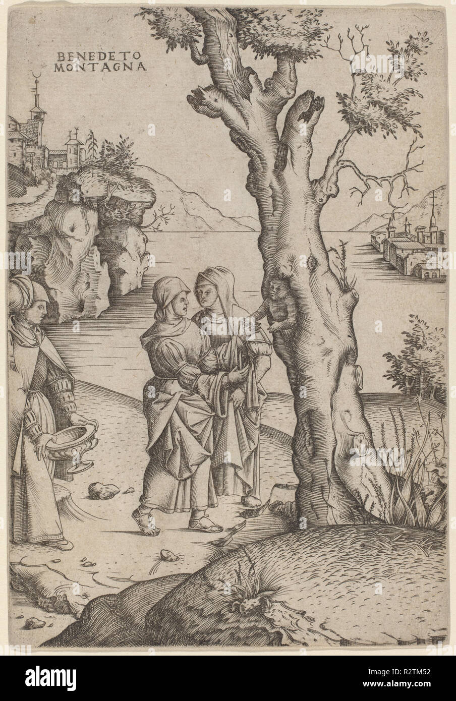 Birth of Adonis. Dated: c. 1515/1520. Dimensions: sheet: 16.5 x 11.4 cm ...