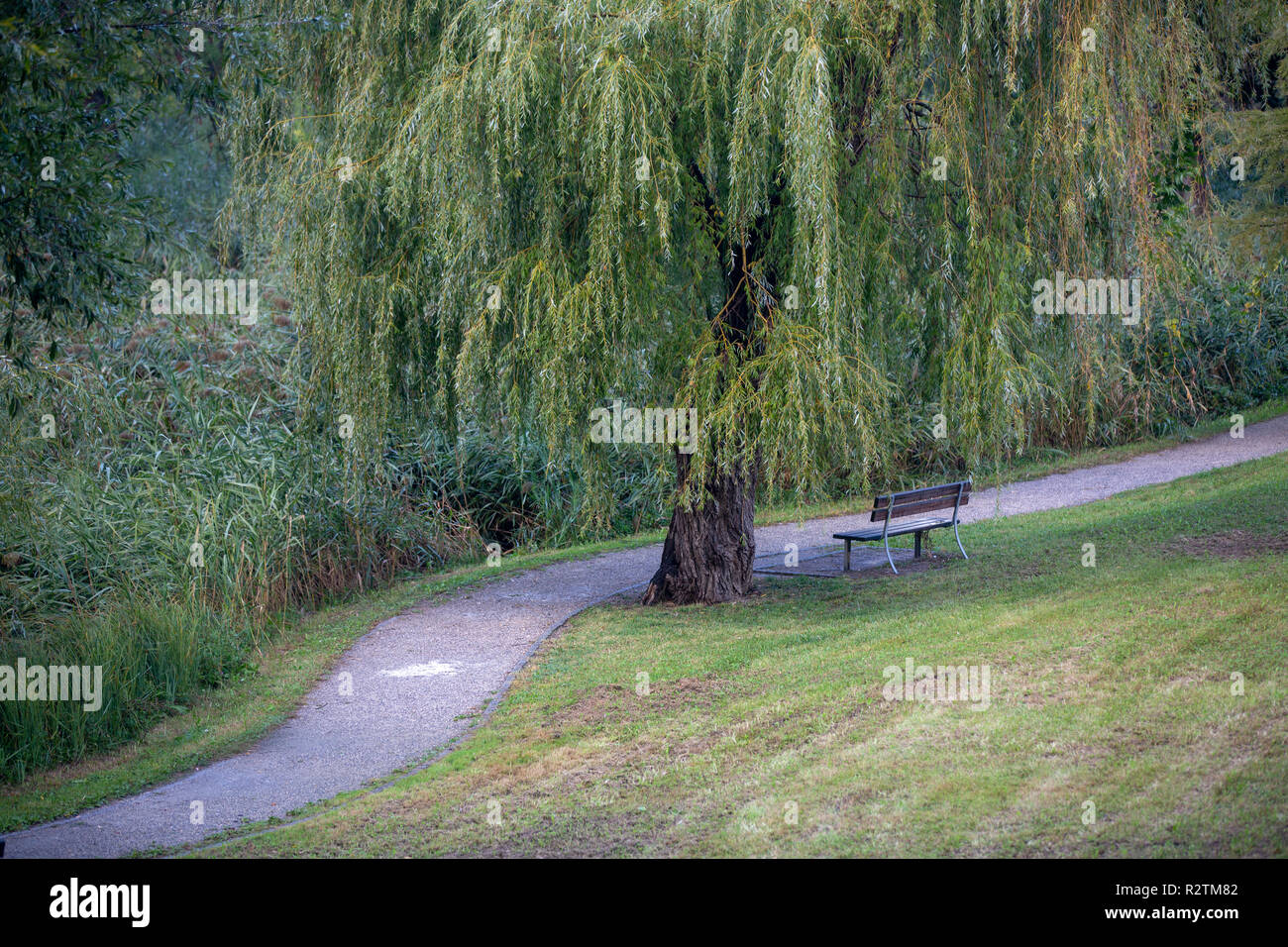 Public park with a walking path and no people Stock Photo - Alamy