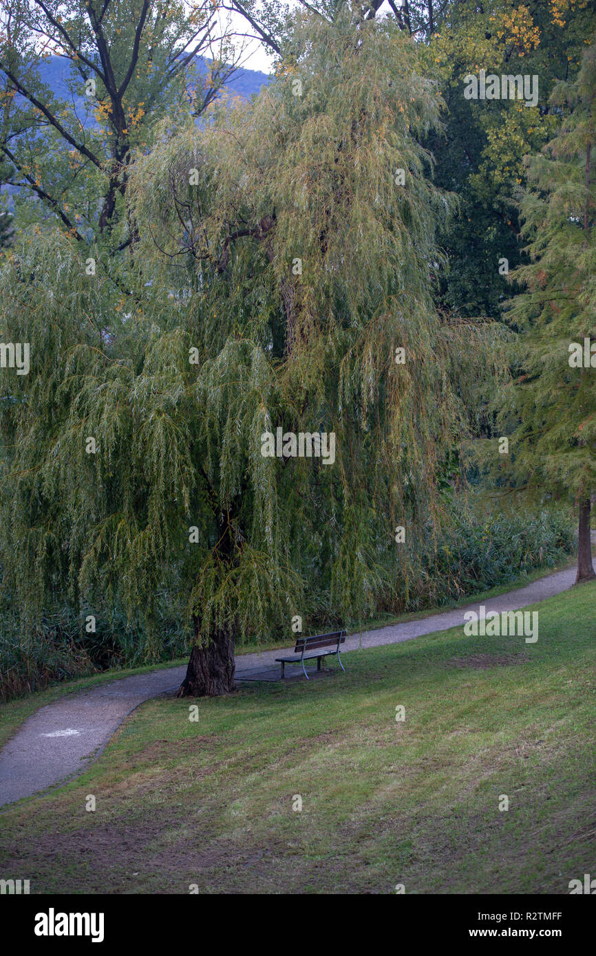 Public park with no people Stock Photo - Alamy