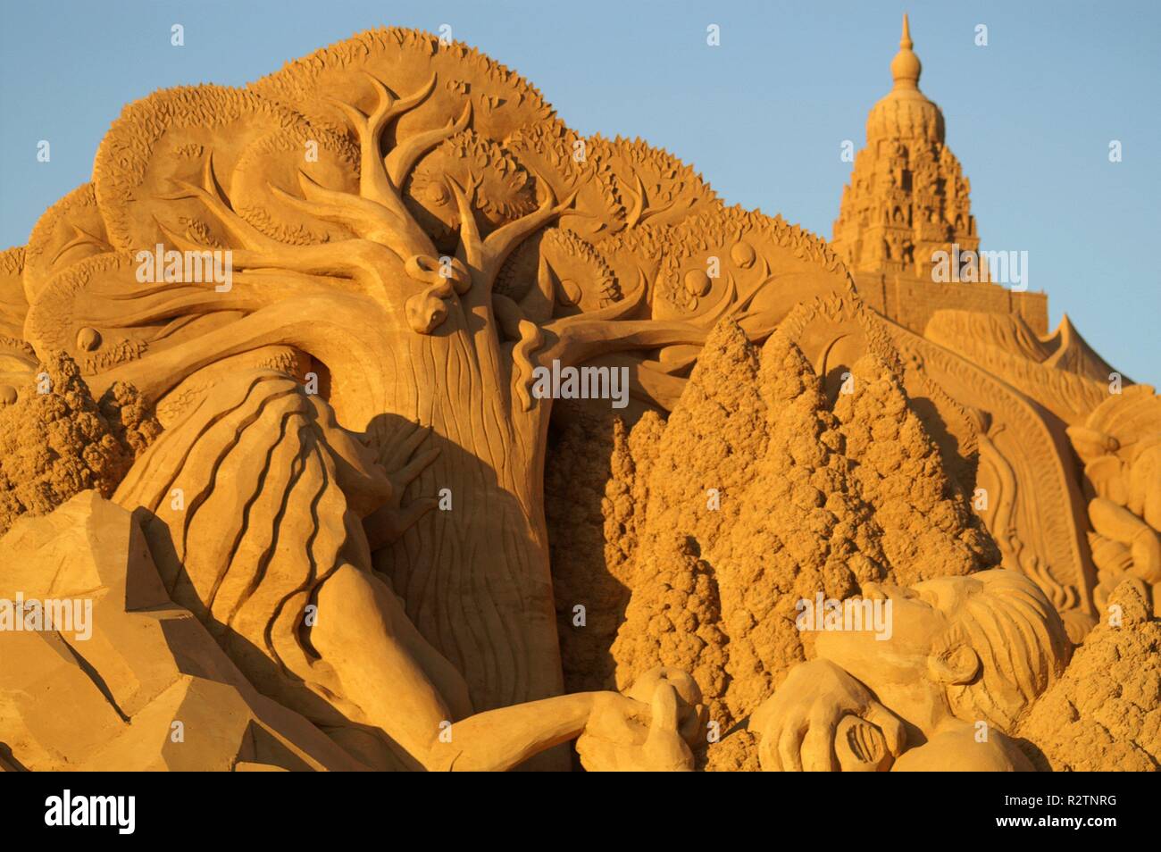 Beach Apple Tree High Resolution Stock Photography and Images - Alamy
