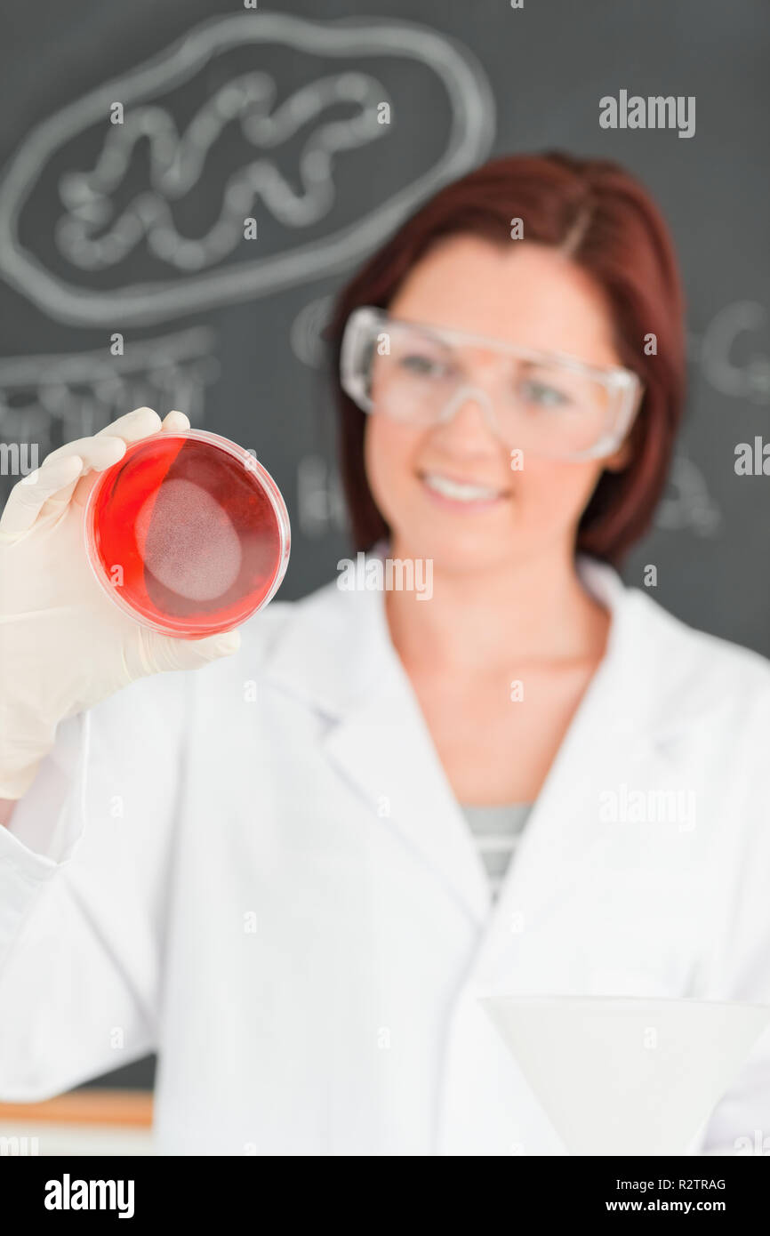 Teacher chemistry lab laughing hi-res stock photography and images - Alamy