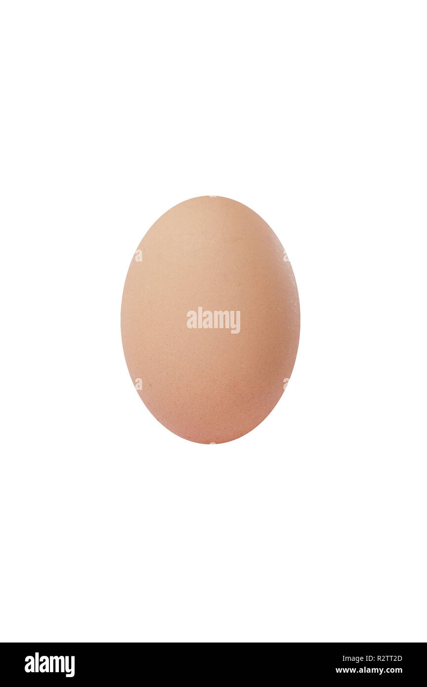 Easter egg hen bunny Cut Out Stock Images & Pictures - Alamy