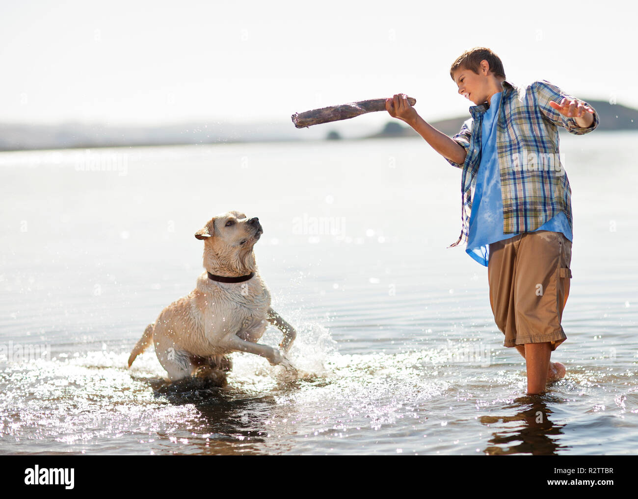 Teenage boy playing fetch with his dog on a beach Stock Photo - Alamy
