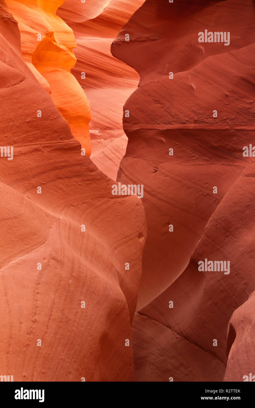 Overwhelming colors hi-res stock photography and images - Alamy