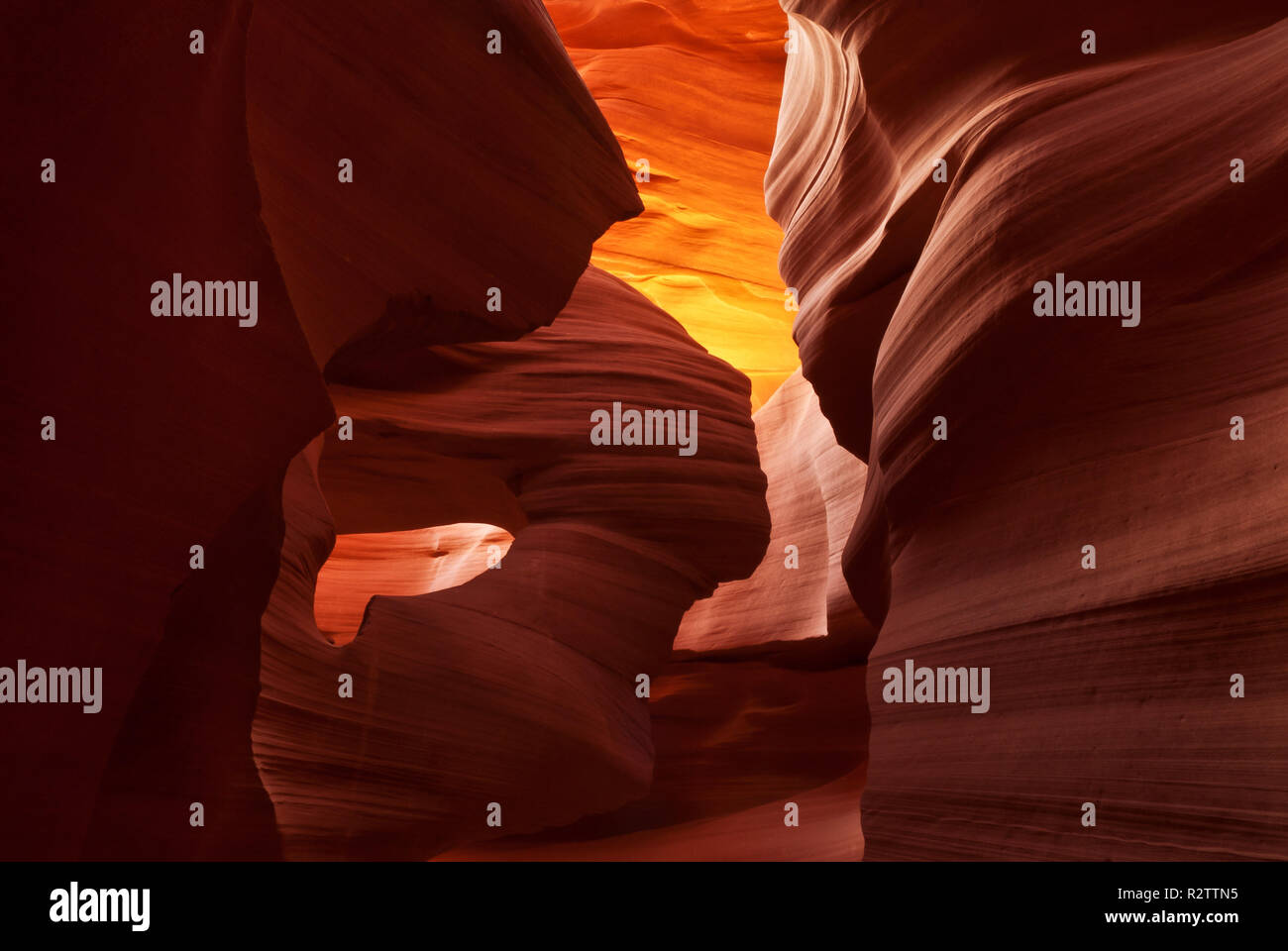 shaman & # 039 s eye Stock Photo - Alamy