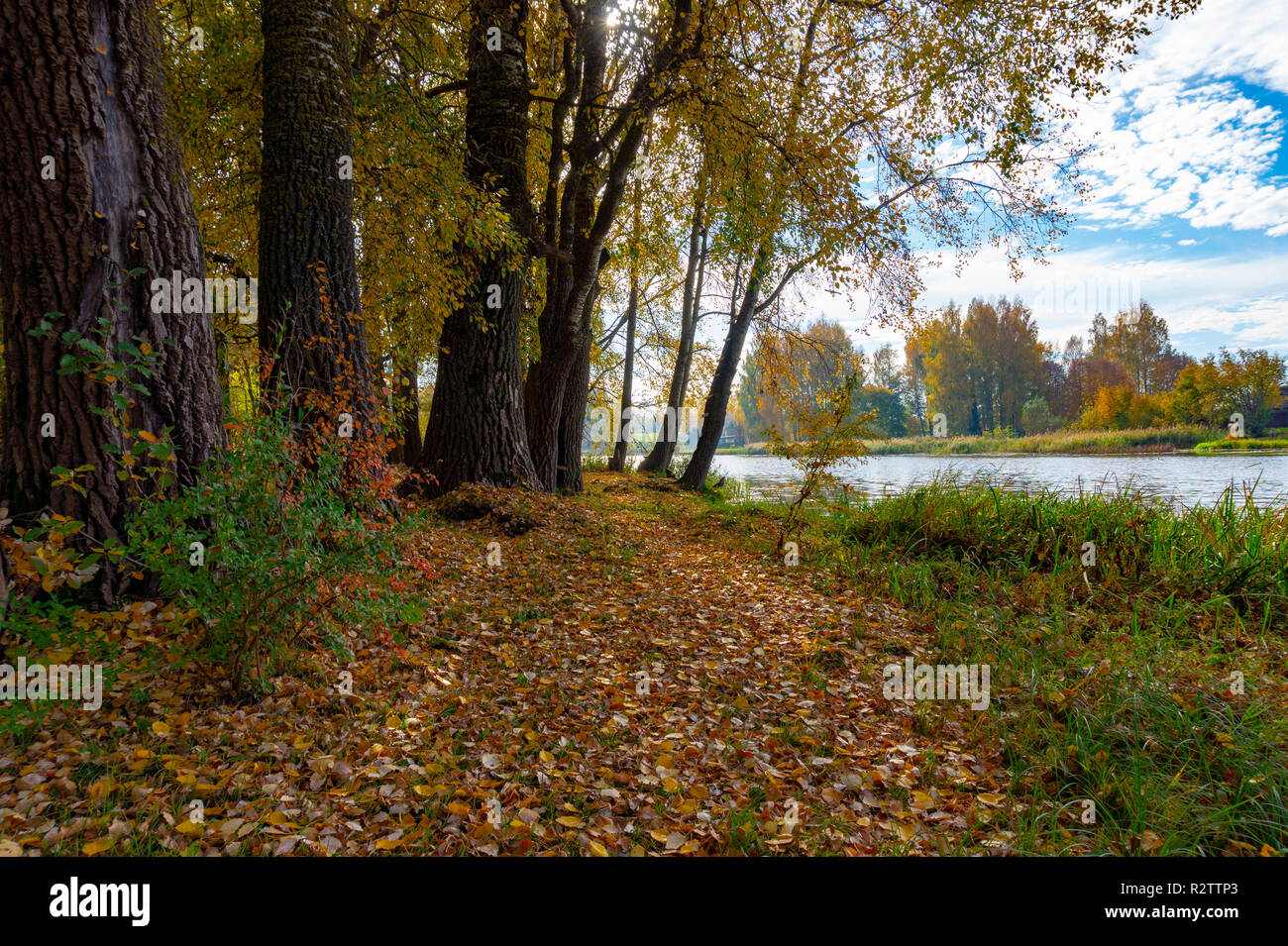 Vivid marking hi-res stock photography and images - Alamy