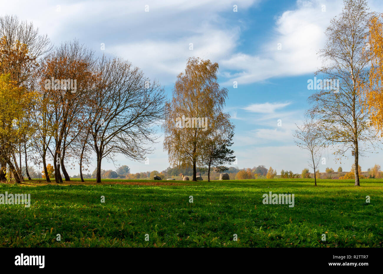 Fresh green field with autumn trees in colorful fall foliage against a ...