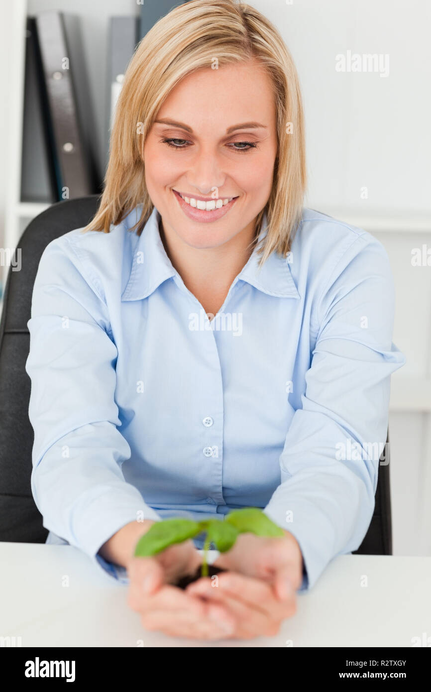 Seepi hi-res stock photography and images - Alamy