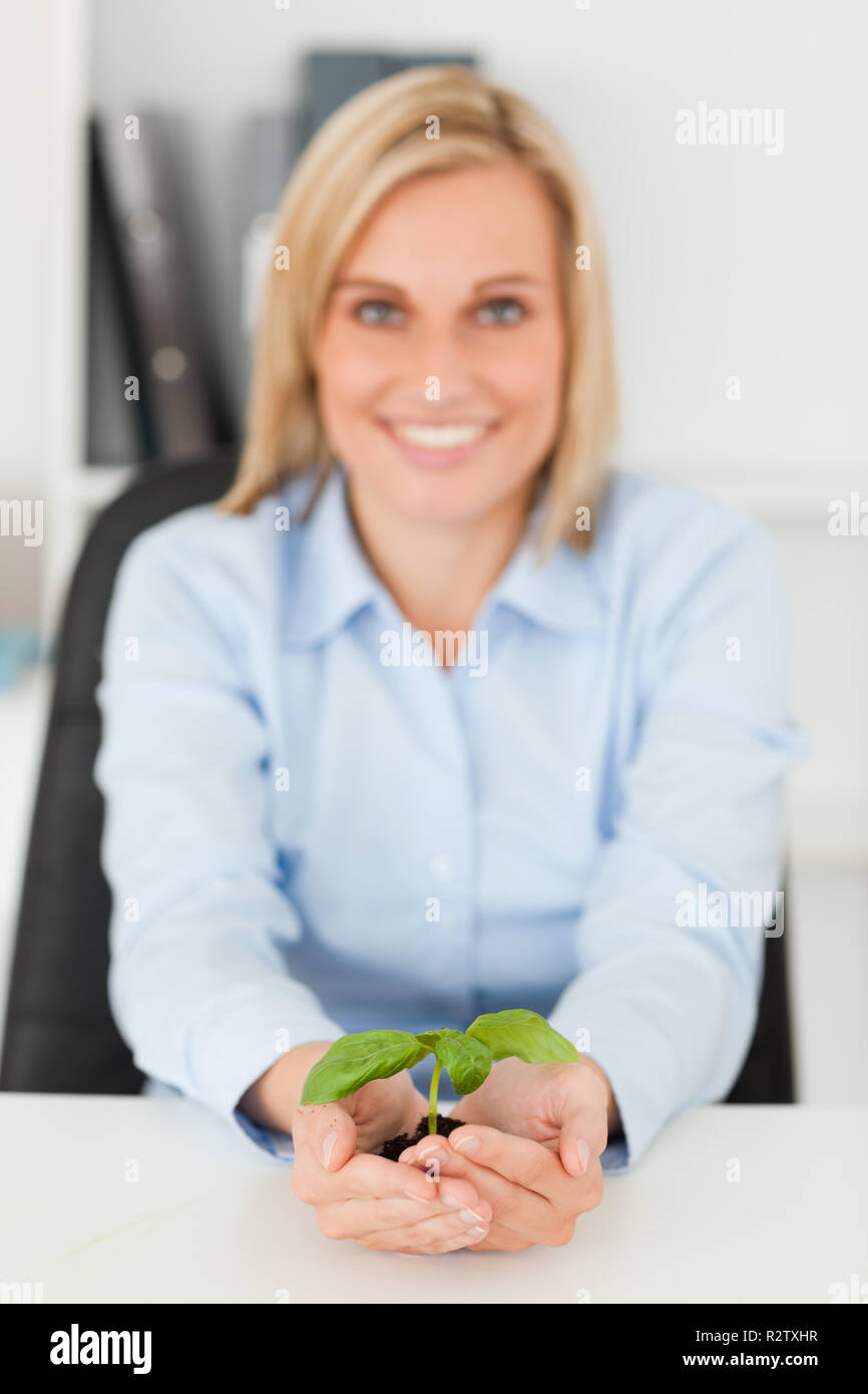 Seepi hi-res stock photography and images - Alamy