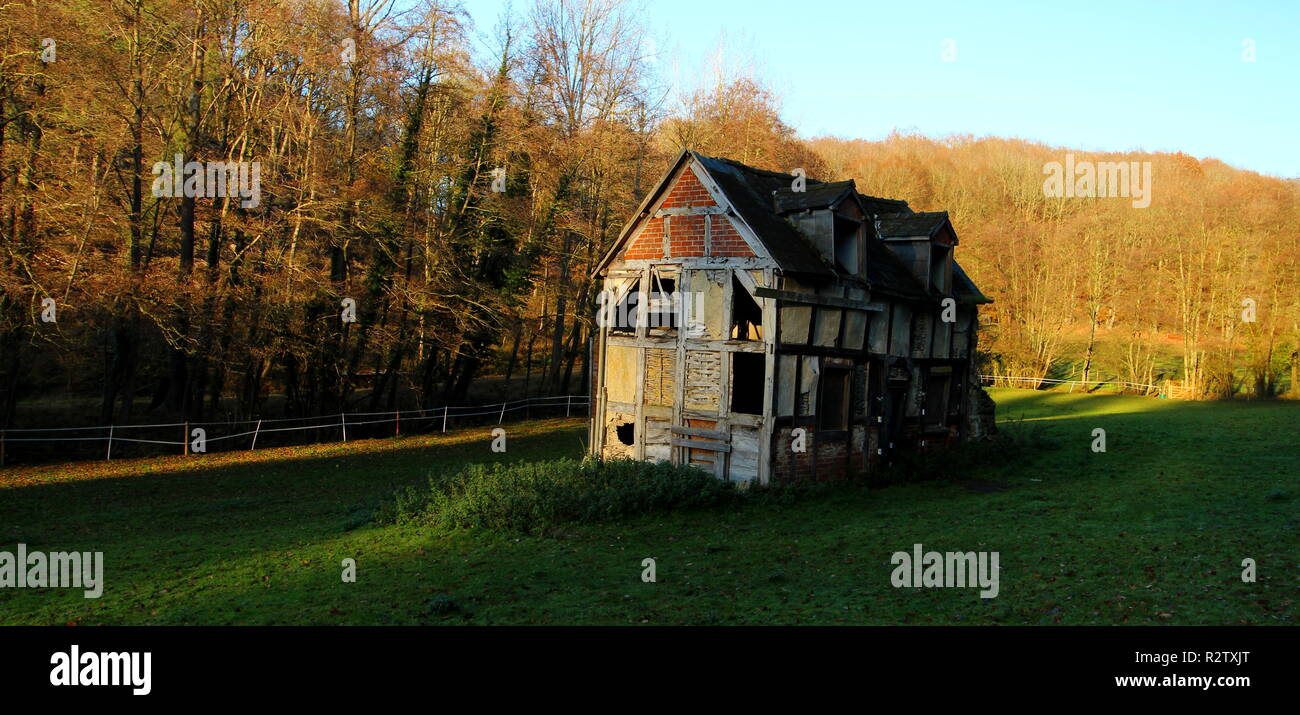 Haugh Woods, Mordiford Stock Photo - Alamy